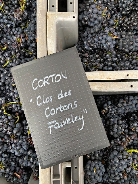 Clos des Cortons Faiveley, Monopole – A Vineyard Profile – Burgundy-Report